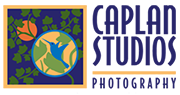 Contact Caplan Studios Photography