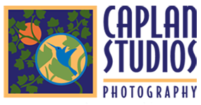 Caplan Studios - Home